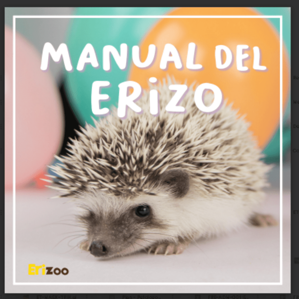 Manual de cuidados para erizo EBOOK – Petciosos
